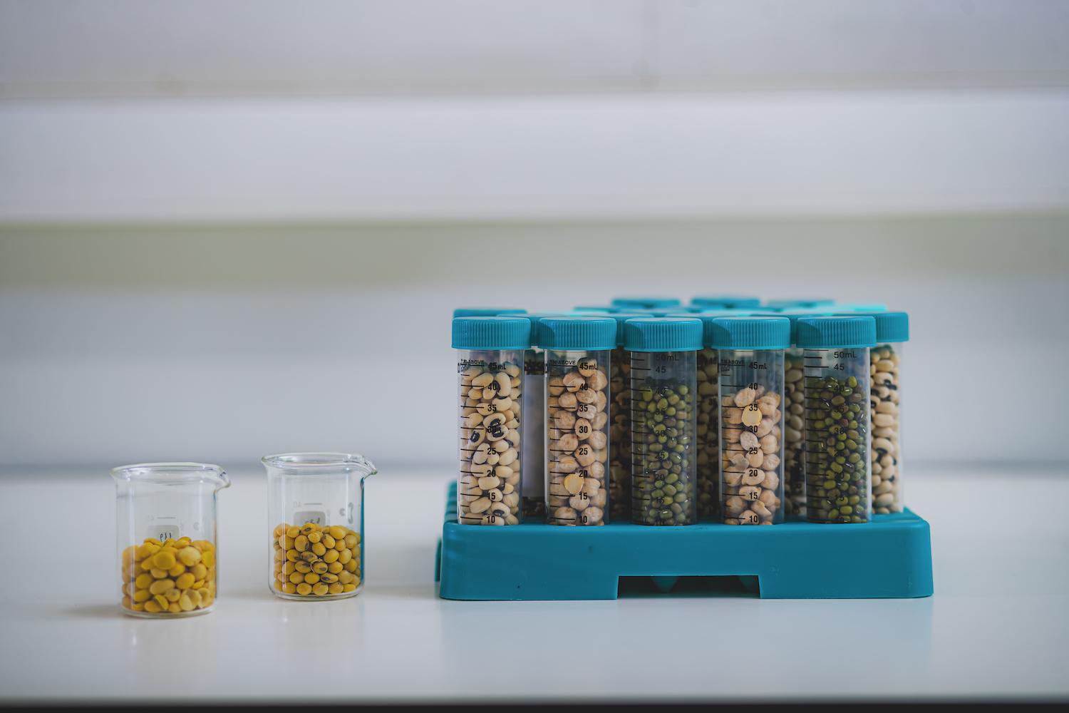 The Pursuit Of ‘greener And Cheaper Plant Based Proteins